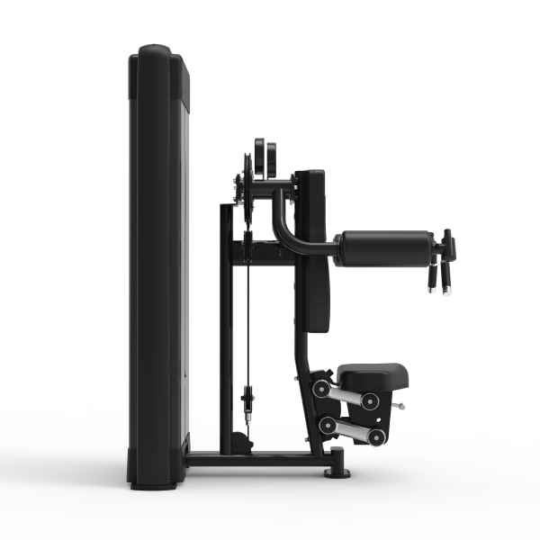 Selectorized Lateral Raise » AlphaState Nemesis Series